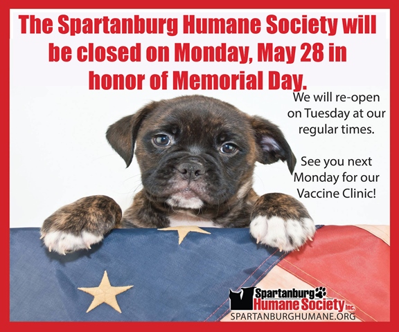 resized for website | Spartanburg Humane Society