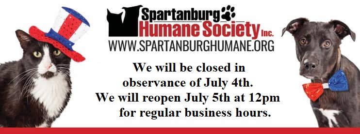fourth of july | Spartanburg Humane Society